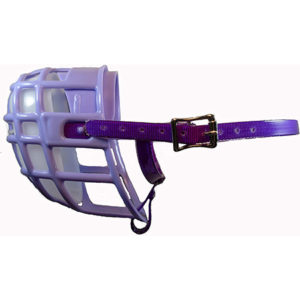 Stool Guard for Dog Muzzle & Recovery Cone Alternative - Birdwell Enterprises